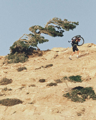 PEdALED Online Store